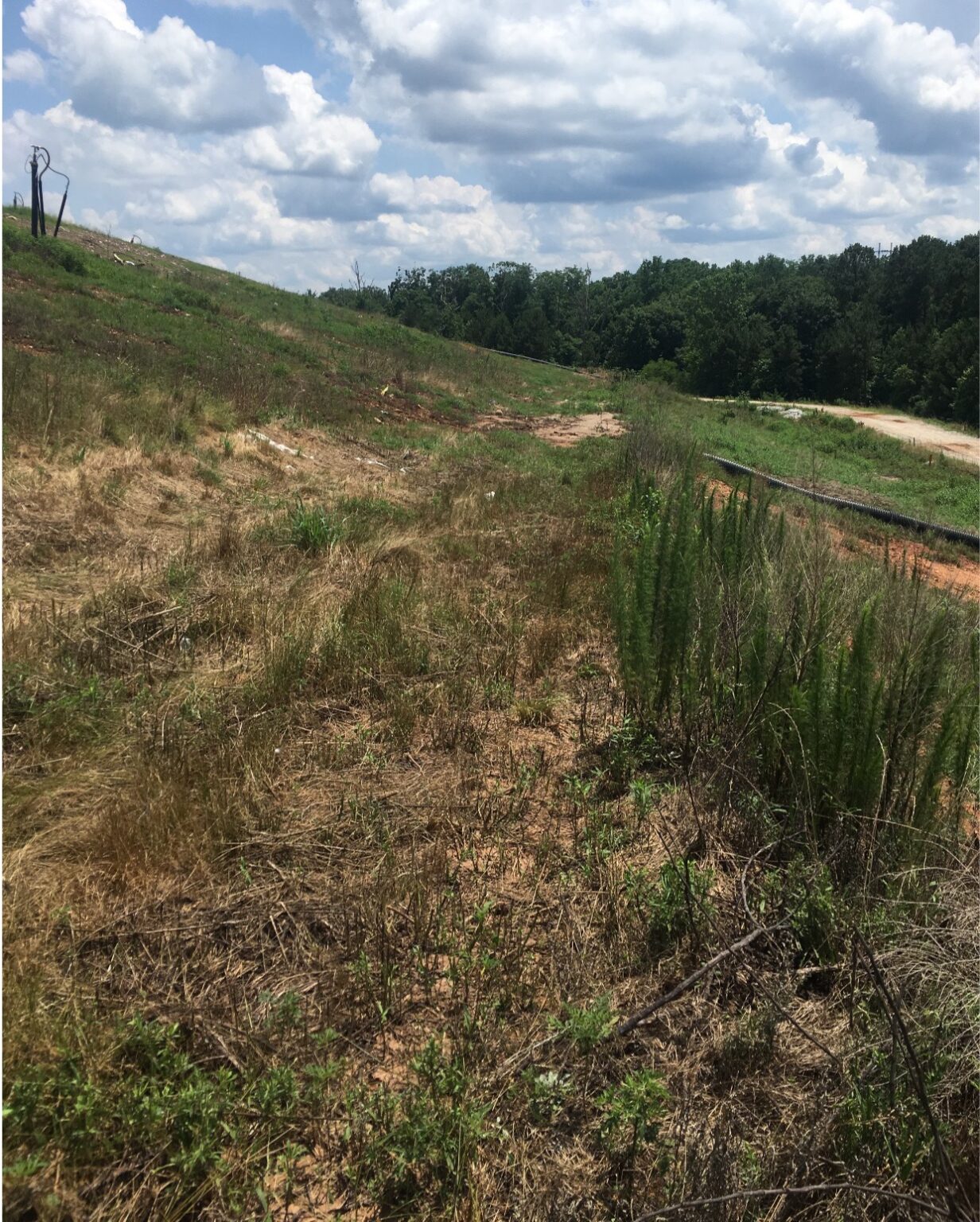 Newton County Landfill