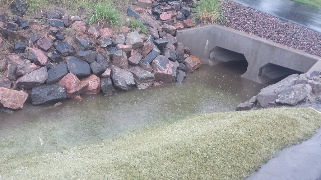 Robinson Ranch Swale